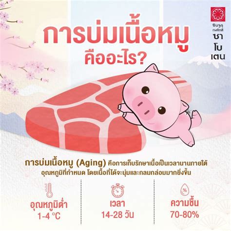 ทงคัตสึซาโบเตน ต้นตำรับความอร่อยญี่ปุ่นขนานแท้ ในเซตประกอบด้วยอะไรบ้าง Saboten Thailand