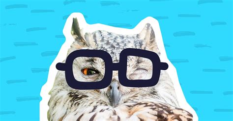 How To Write A Press Release For An Event With Template