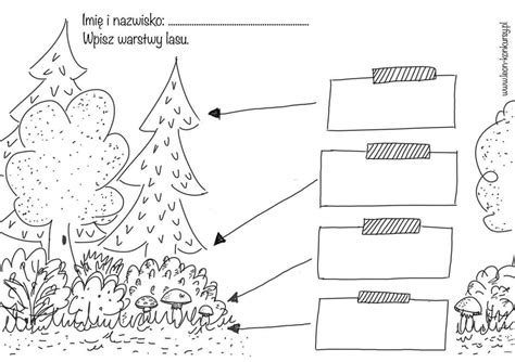 Types Of Trees Diagram