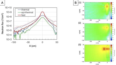 Phits Simulation Results A The Neutron Flux Along The Medial Line