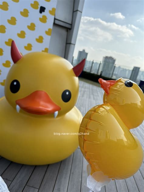 러버덕 귀여운 잠실롯데 아이폰14프로