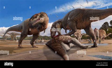 Carcharodontosaurus Versus Gigantotosaurus Carcharodontosaurus Ark