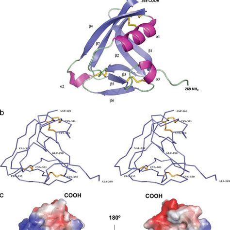 Comparison Of Srcr Domain Group A And Group B Structures A C ␣ Download Scientific Diagram