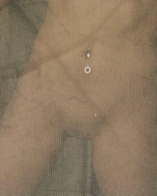 Cute Teen Girl Answers Doorbell Nude Porn Pictures XXX Photos Sex Images PICTOA