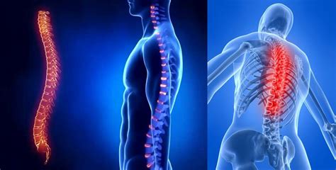 Студія догляду за тілом Шуст Людмили Як вберегти зріст з віком Є у хребта і така властивість