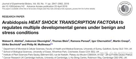 易基因：chip Seq等揭示热休克转录因子a1b调控植物高温胁迫响应的分子机制｜应激反应 修饰组学motif 氨基酸富集热图 Csdn博客