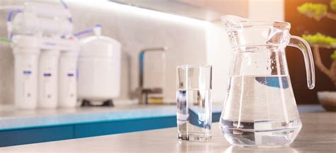 Does Reverse Osmosis Remove Hormones And Steroids Stonesmentor