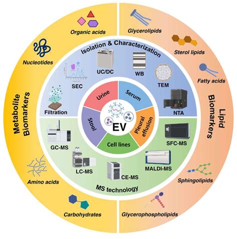 Lipidomics And Metabolomics In Exosome Research Creative Biostructure
