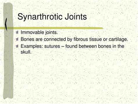 Anatomy Physiology Overview Ppt Download