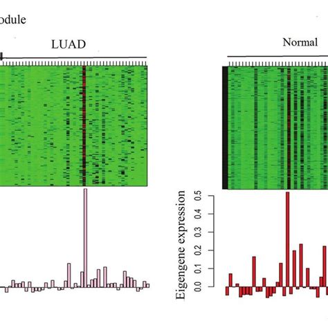 Heatmap And Expression Level Of Me In The Pink And Red Module The