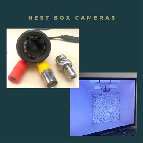 New AHD 1080P Nest Box Camera 22 Each Special Offer Now Only 12 The Bird Ring Company