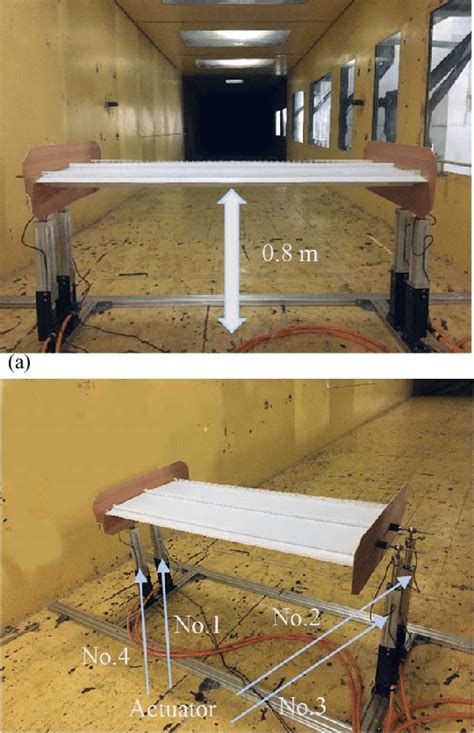 Sectional Model Assembled On A Forced Vibration System For Extracting