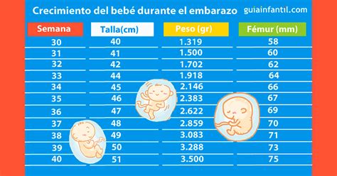 Cuanto Debe Pesar Un Bebe De Semanas De Gestacion