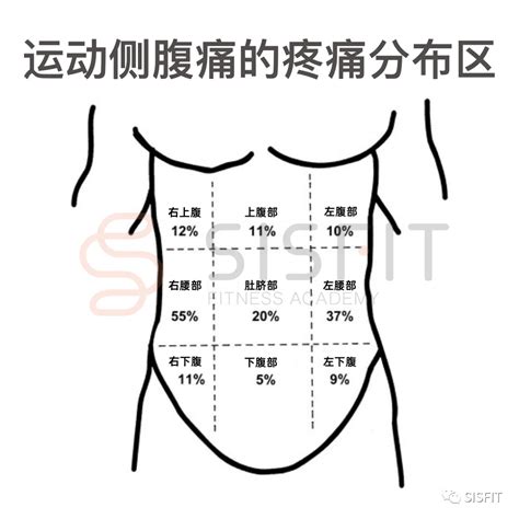 跑步时腹部剧痛是怎么回事揭秘运动相关的暂时性腹痛ETAP 哔哩哔哩