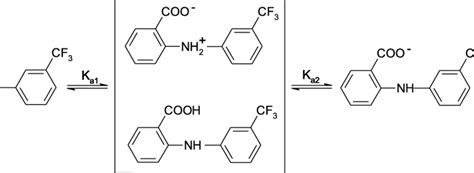 Reaction Scheme For Flufenamic Acid In Aqueous Solution Download