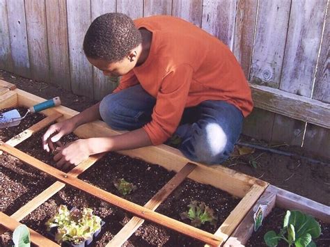 Why Creating Your Own Compost Might Be Easier Than You Think Center For Environmental Health