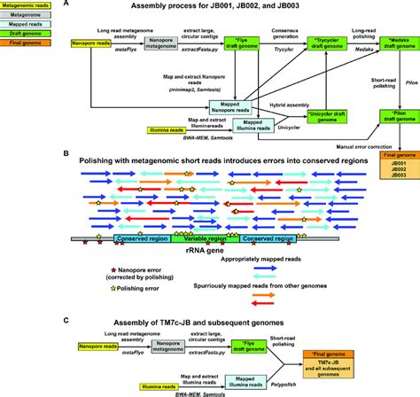 Complete Genome Assembly Download At Emil Bentley Blog
