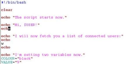 Cómo crear un script básico