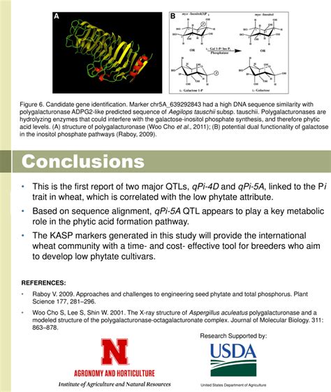 Relationship Of Kasp Marker Categories Genotyping And Pi Phenotyping Download Scientific
