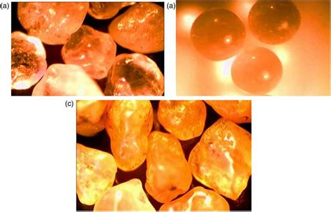 Scanning Electron Micrographs Of The Tested Materials A