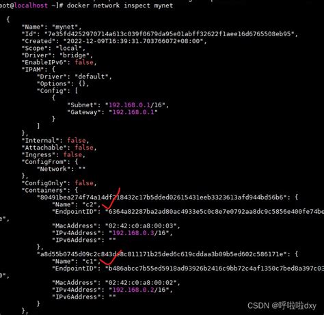 docker安装nginx docker安装nginx t csdn博客