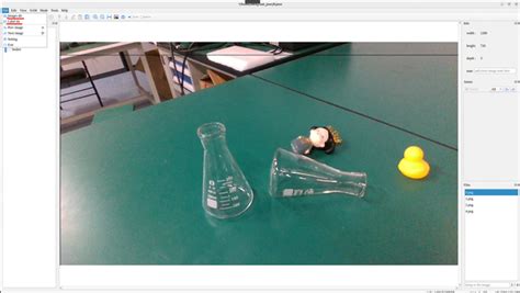 Sam标注yolov8 Seg实例分割的实时检测 知乎