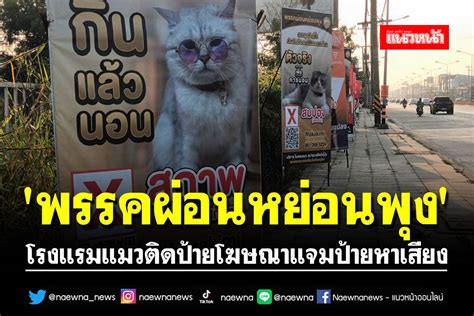 ข่าว Like สาระ ทาสถูกใจ โรงแรมแมวติดป้ายโฆษณาแจมป้ายหาเสียง พรรคผ่อนหย่อนพุง