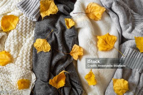 단풍 따뜻한 배경 니트 웨어 텍스트 공간 가을 겨울 컨셉니트 옷 더미 0명에 대한 스톡 사진 및 기타 이미지 0명 가을 가을 단풍 Istock