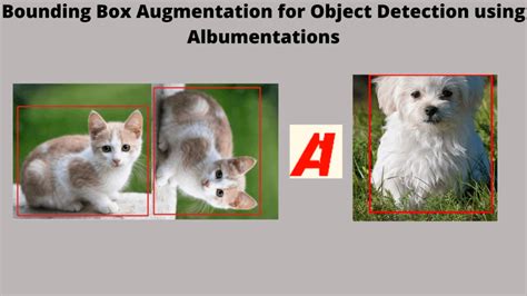 Bounding Box Augmentation For Object Detection Using Albumentations Rlearnmachinelearning