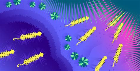 Understanding The Tomcat Architecture And Key Performance Metrics Datadog