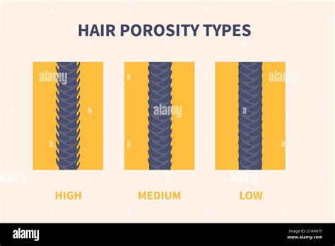 Which Of The Parts In This Lab Demonstrated Porosity At Brianna