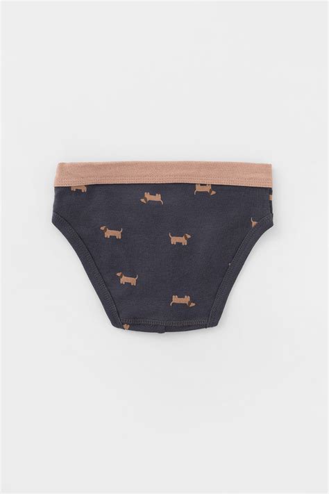 Трусы для мальчика артикул К 1907 2уп цвет темно серый бежевый таксы Трусы для мальчика