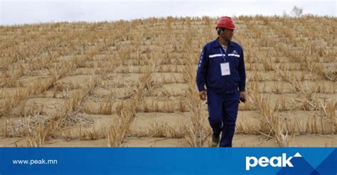 Хятадын мэргэжилтнүүд Монголд цөлжилттэй тэмцэхэд тусалж байна Peak News