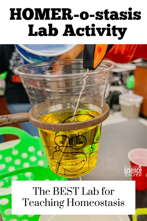 Osmosis Egg Experiment Hands On Osmosis Lab Artofit