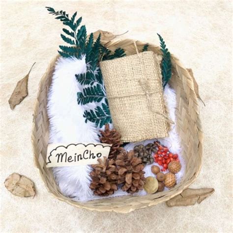 Jual Paket Properti Foto Produk Props Fotografi Aesthetic Photoshoot Kit Ekokerang Di Seller