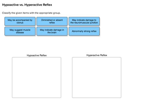 Solved Hypoactive Vs Hyperactive Reflex Classify The Given