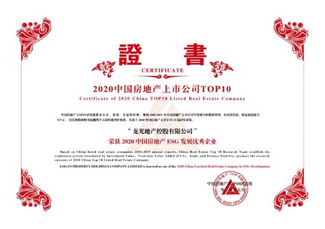 龙光控股集团