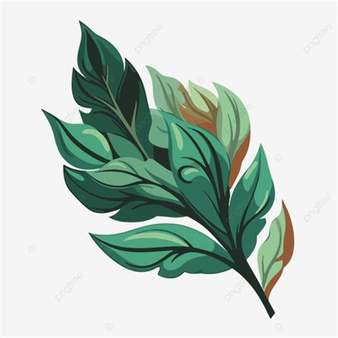 월계수 휴가 벡터 녹색과 갈색 잎이 있는 흰색 배경에 있는 스티커 클립 아트 잎도 이미지 만화에 있습니다 상표 클립 아트 Png 일러스트 및 벡터 에 대한 무료