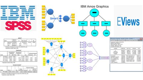 Analyze Your Data With Spss Smartpls Amos And Eviews By Saitou Fiverr