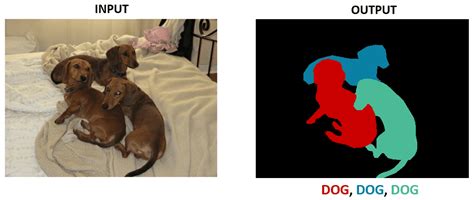 Object Recognition Tasks And Their Differences Baeldung On Computer Science