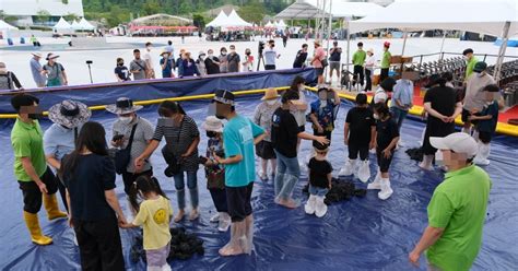 19만2000명 글쎄 영동군 포도축제 방문객 수 의구심