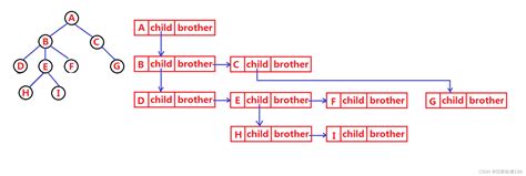 【数据结构与算法】 二叉树给出数据 181425302415 组成的分类二叉树左小右大及前序、中序、后序遍 Csdn博客