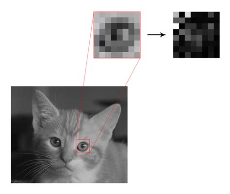 Whats In A Jpeg
