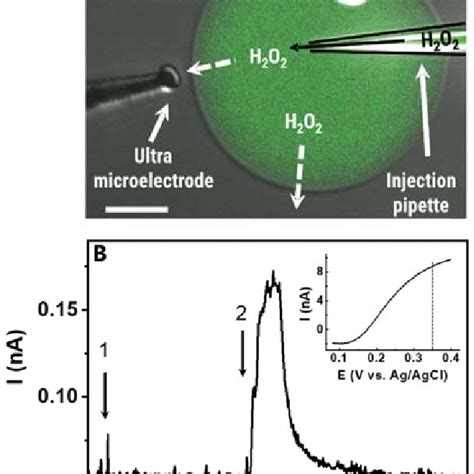 A Experiment Of Electro Microinjection Of A Hydrogen Peroxide