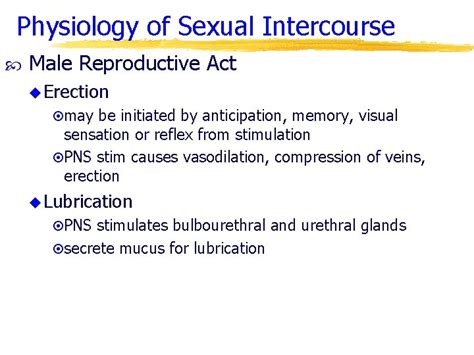 Chapter The Reproductive System The Reproductive Systems