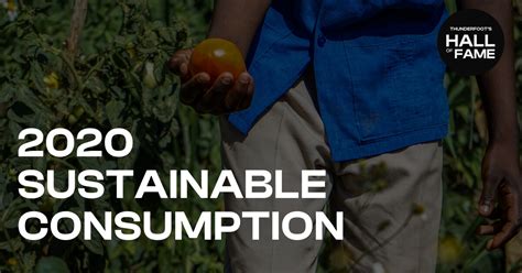 Sustainable Consumption Report Designing A Better World