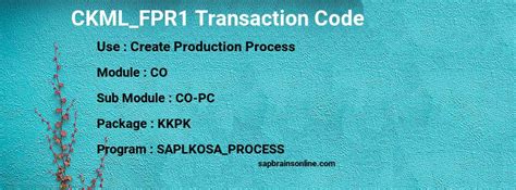 CKML FPR SAP Tcode For Create Production Process