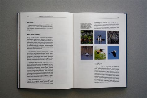 Master Thesis A Collaborative Design Project Behance