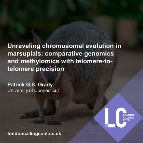 Oxford Nanopore On Twitter During Nanoporeconf Patrickgsgrady Will Discuss How Nanopore