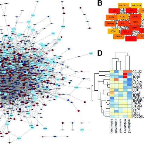 Ppi Analysis Of Degs Based On Cytoscape A Visualized Ppi Analysis Of